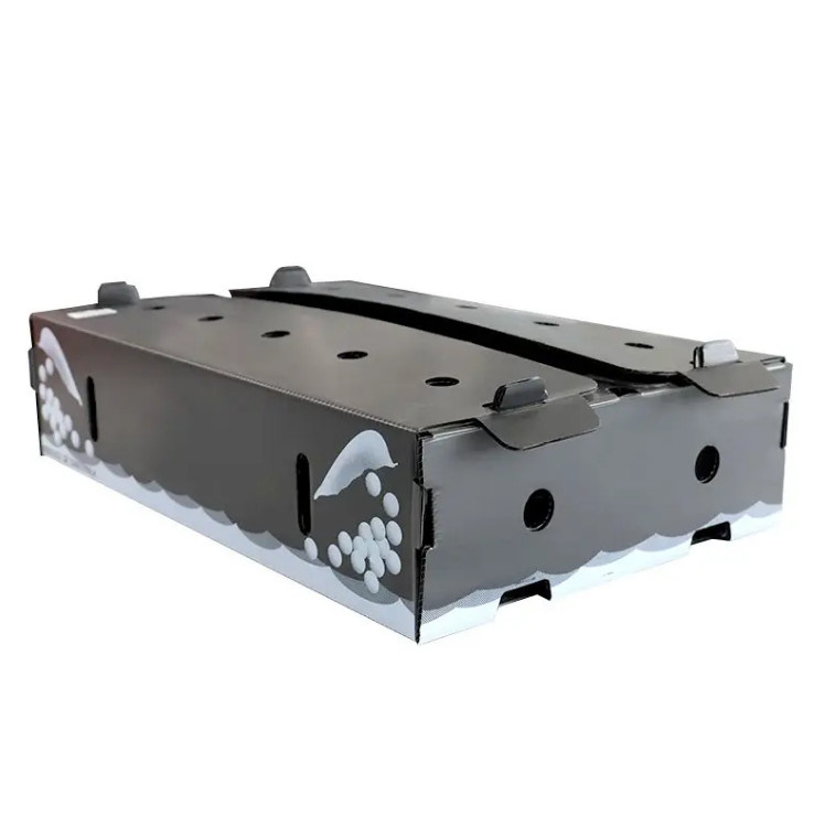 Black Corflute PP Vegetable Packaging Box For Fruits And Fish