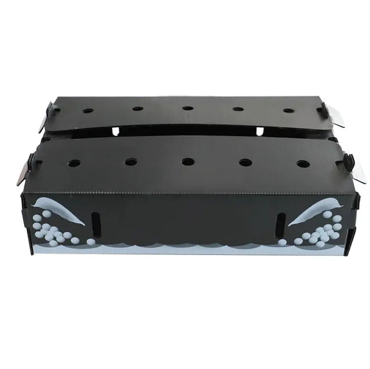 Black Corflute PP Vegetable Packaging Box For Fruits And Fish