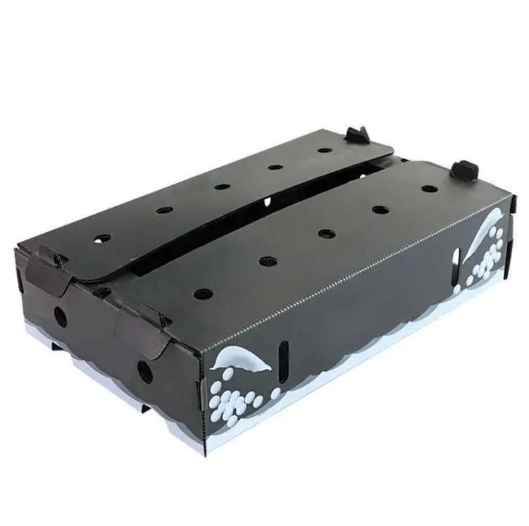 Black Corflute PP Vegetable Packaging Box For Fruits And Fish