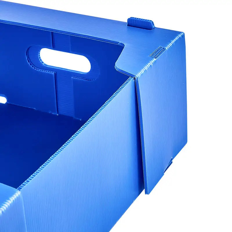 Corrugated Plastic Box Polypropylene Fruit Packing Box Storage ...