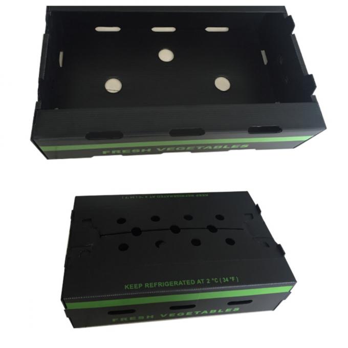Agriculture Vegetable Packaging Box Coroplast Boxes For Vegetables ...