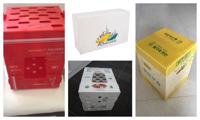 Polypropylene Vegetable Packing Box PP Corrugated Plastic Packaging Box Customized