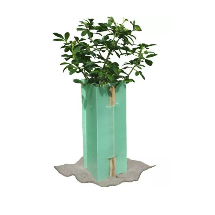 Triangle Corflute Tree Guards Bunnings 5mm Coroplast Plastic Tree ...